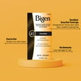Bigen Permanent Powder Hair Color, Chocolate - Ammonia-Free, Long ...