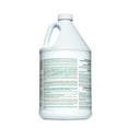Citrus II Safe Sanitizer: Fresh Citrus Scent Hospital Germicidal ...