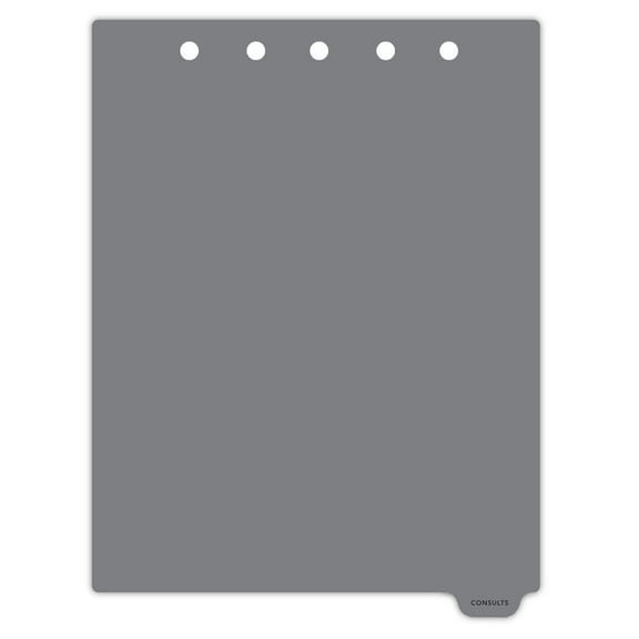 Carstens - Heavy Duty Hospice Plastic Ring Binder Dividers, Side Tab, 1 ...