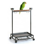 Prevue Pet Products Bird Accessories: Coffeawood Java Tree, Medium Size ...