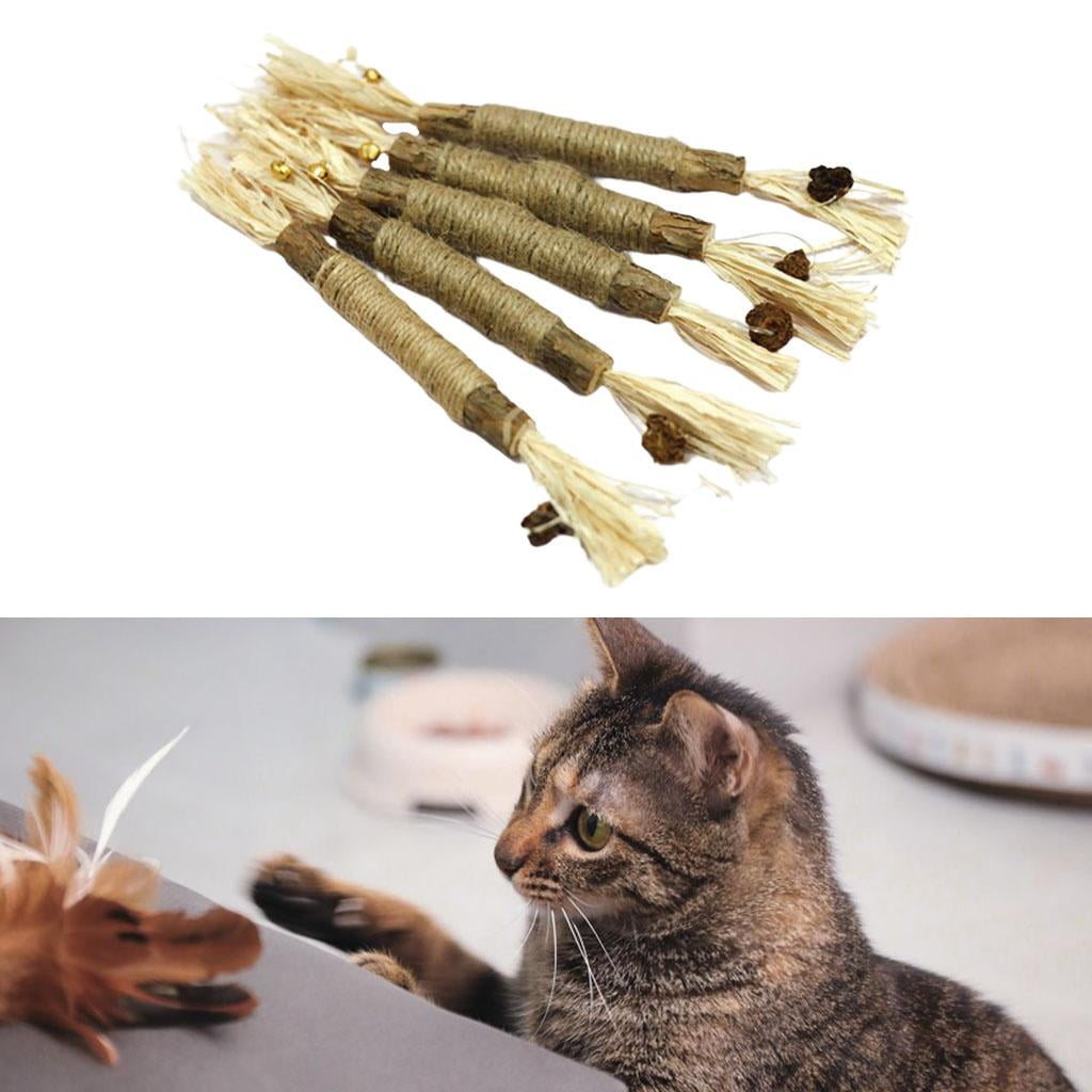 5Pcs Catnip Toys Sticks Pet Supplies Chew Toy Make The Cat Molar All ...