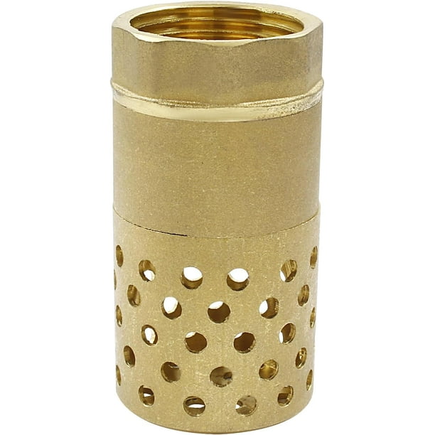 Qucyy Heavy Duty Brass Foot Valve, DN25 Female Thread Backflow ...