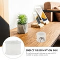 Insect Ornamental Box Reptile Breeding Container Boxes Acrylic Para ...