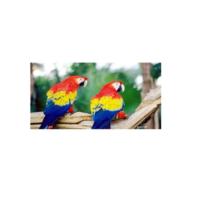 LP-3050 Two Parrots License Plate Tags- Full Color Photography ...