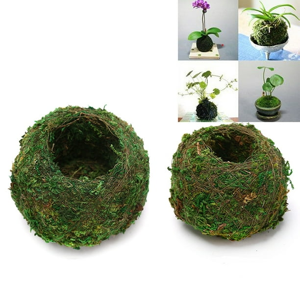 Moss Pot