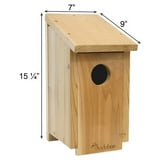 Audubon Woodpecker House - Walmart.com