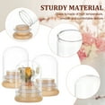 10pc Glass Dome Cover Decorative Display Case Cloche Bell Jar Terrarium ...