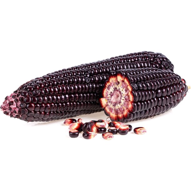 Rare Purple Popcorn Seeds for Planting - 50 Seeds to Grow This Exotic ...