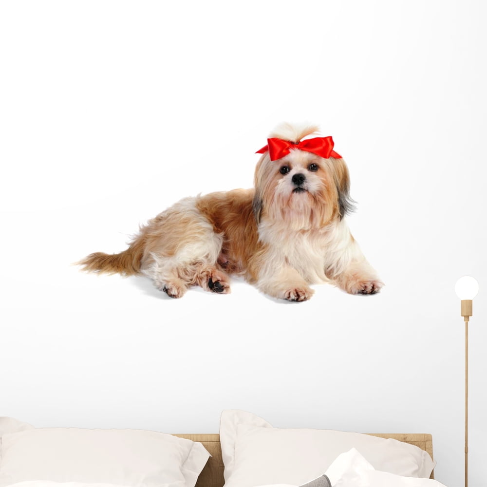 Shih Tzu Dog Studio Wall Mural by Wallmonkeys Peel and Stick Graphic ...