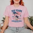 Teeso Duck 250th Anniversary Shirt, Patriotic Goose 1776-2026 Tee ...