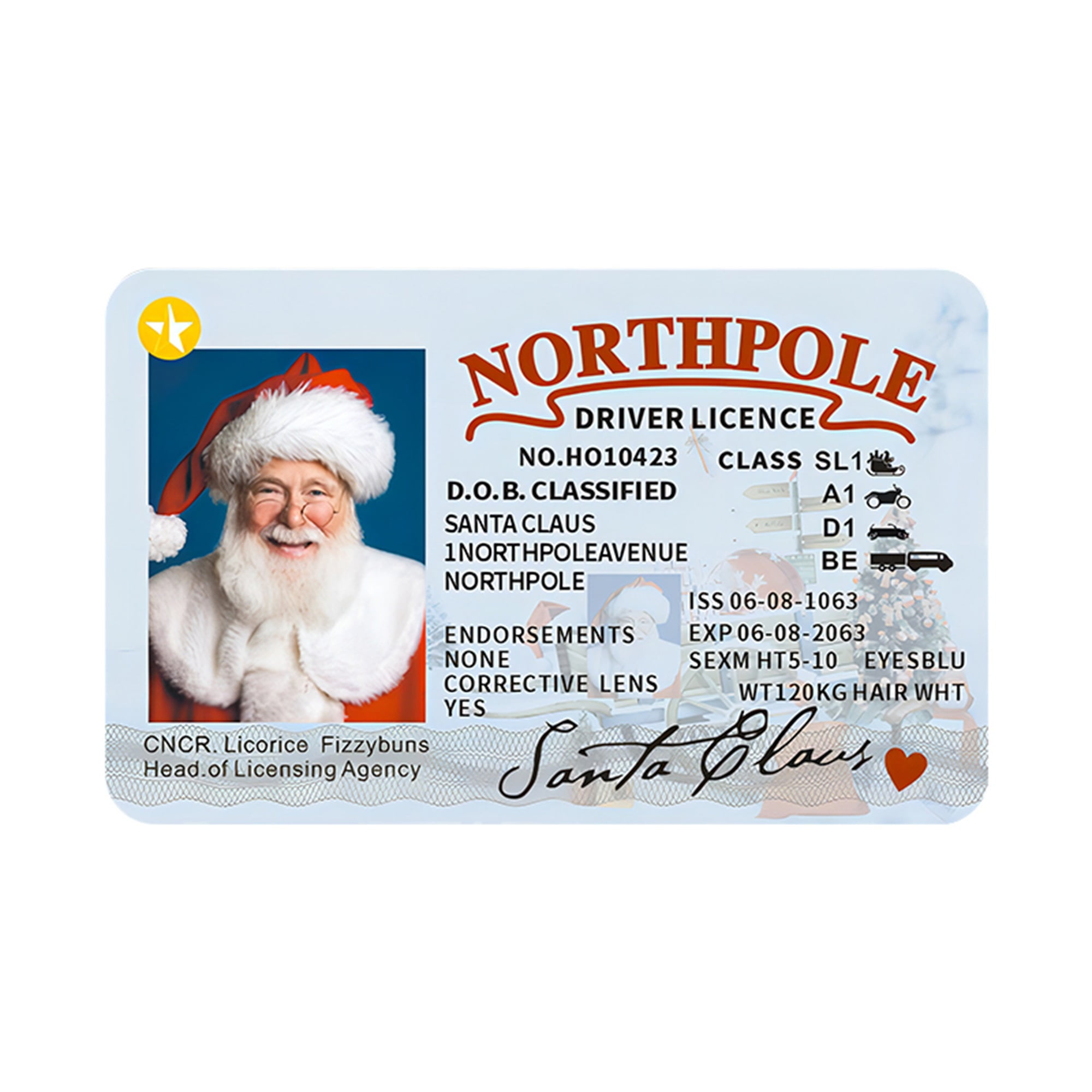 ZIYIXIN Santa Claus Licence Christmas Card, Lost Driver's License Card ...