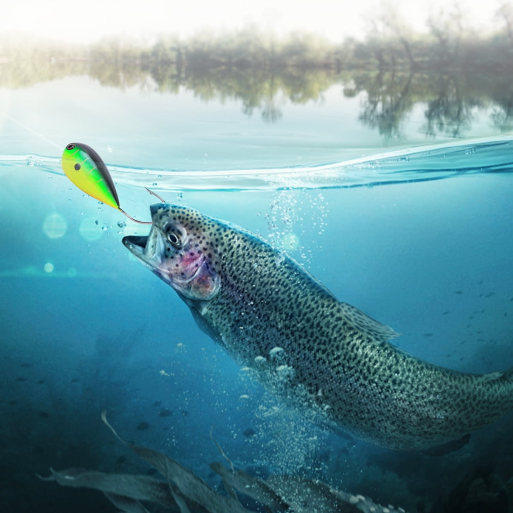 LHCER Ice Fishing Lures, Egg Crank Bait, 6 Types For Luring Fish Sea ...