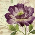 Pamela Gladding 26x26 White Modern Wood Framed Wall Art Titled - Study ...