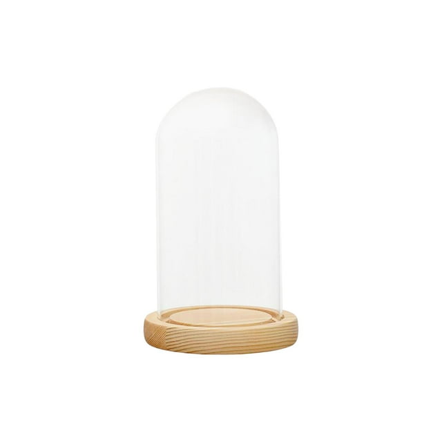 Cloche Bell Jar Wooden Base Transparent Cover Showcase Display Case ...