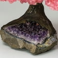 Genuine Rose Quartz Clustered Gemstone Tree on Amethyst Matrix (7 ...