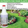 GGO Mineralizer- Fertilizer & Micro-Nutrients- 32 fl oz Complete ...