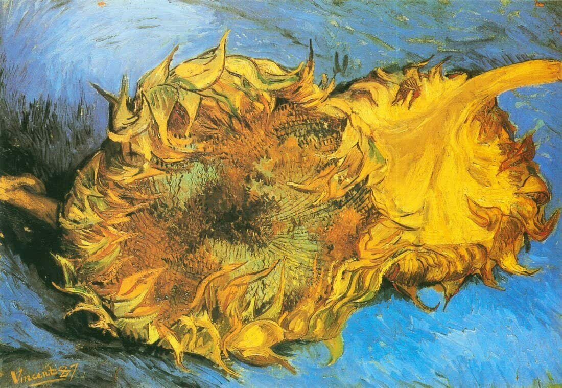 Two Cut Sunflowers-Van Gogh - CANVAS OR FINE PRINT WALL ART - Walmart.com