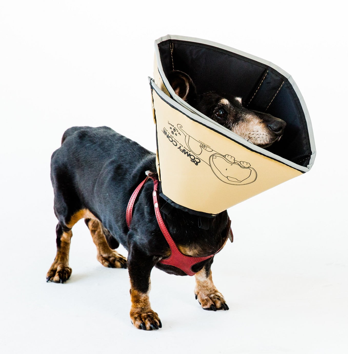 The Original Patented Comfy Cone with Removable Stays, Small Long Tan ...