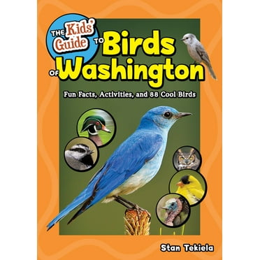 Birds (Board Book) - Walmart.com