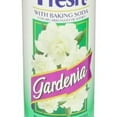 WD-40 Carpet Fresh Rug and Room Deodorizer Powder, Gardenia Scent ...