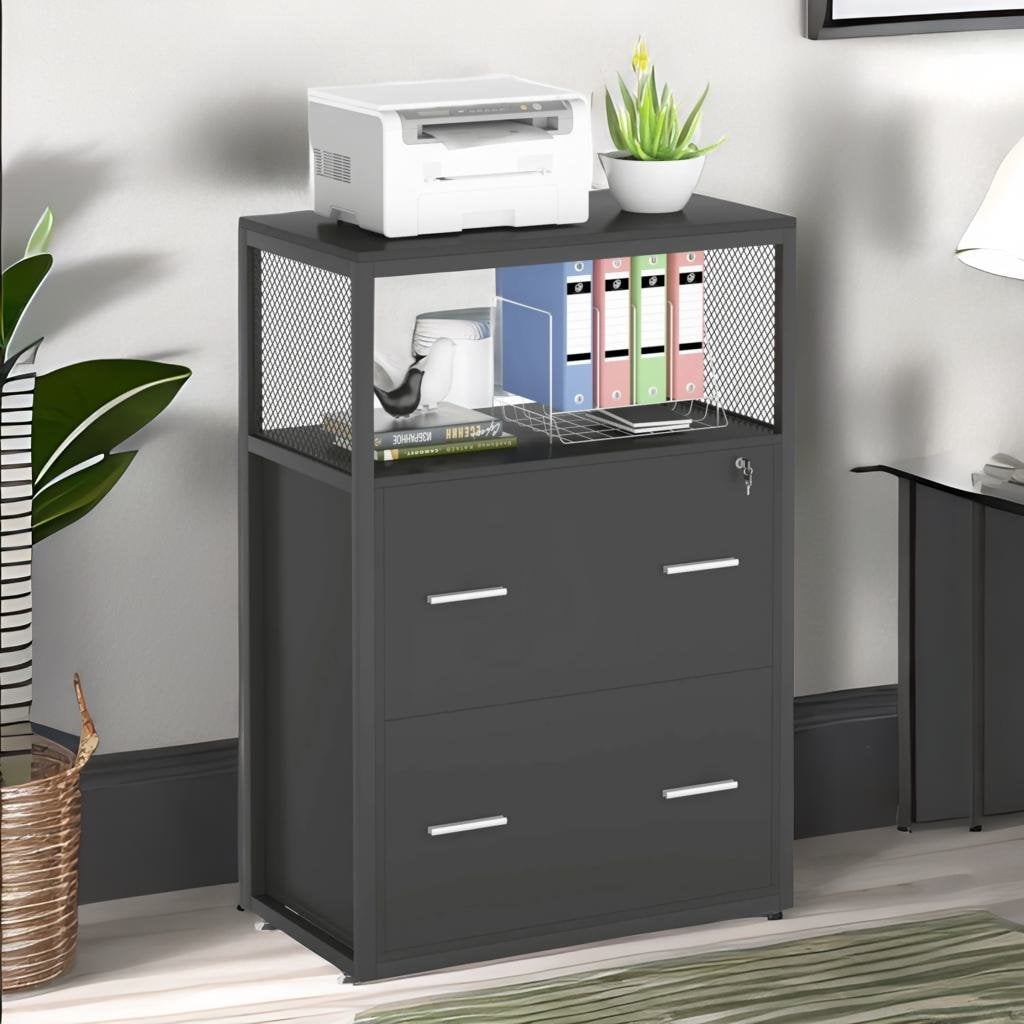 Tribesigns 2 Drawer Lateral File Cabinet, Large Modern Filing Cabinet ...