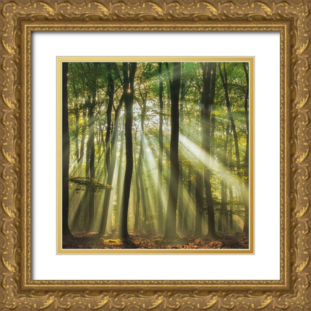 Haaksma, Piet 12x12 Gold Ornate Wood Framed with Double Matting Museum Art Print Titled - Sunny ...