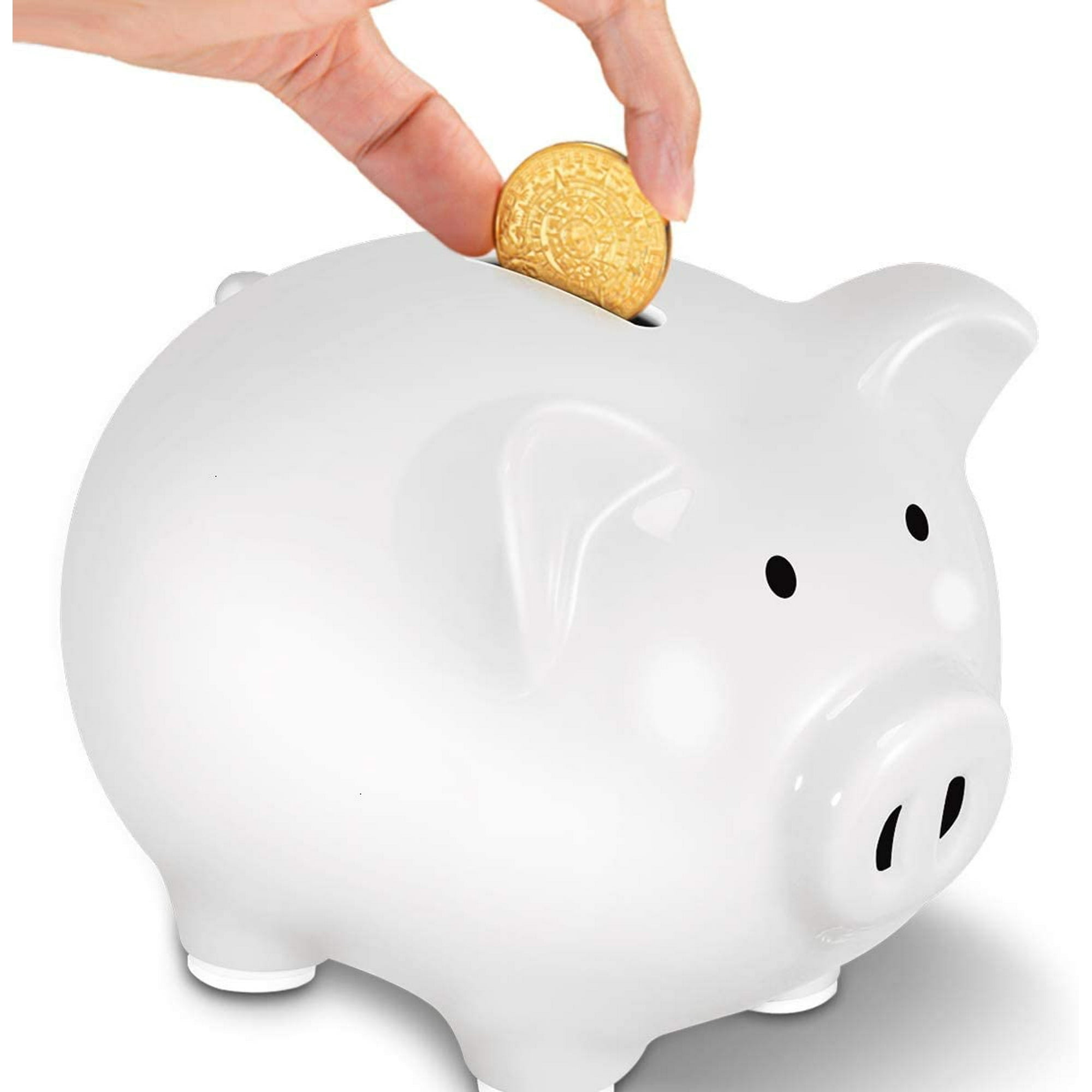 Cute Piggy Bank Side View