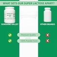 Sunshine Valley Super Lactose - Natural Sugar Substitute & Baking ...