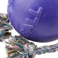 Jolly Pets Large Romp-n-Roll Dog Toy, 8", Non-Deflatable, Purple ...