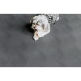 G-Floor 8.5' x 22' Vinyl Levant Pet Friendly Carpet Protector for Dogs ...