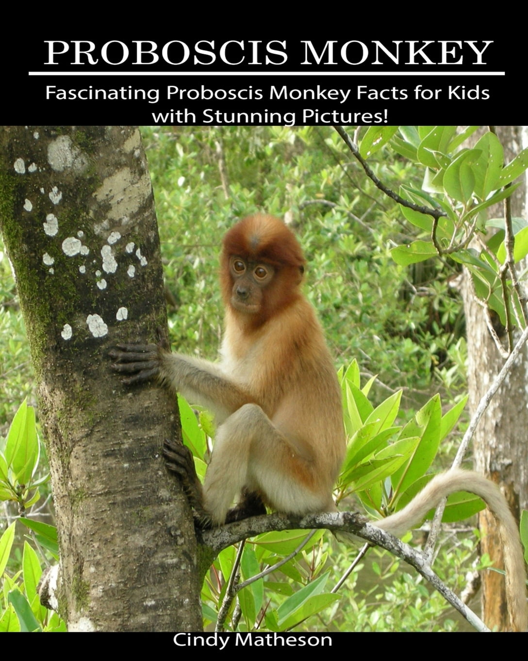 Proboscis Monkey : Fascinating Proboscis Monkey Facts for Kids with ...