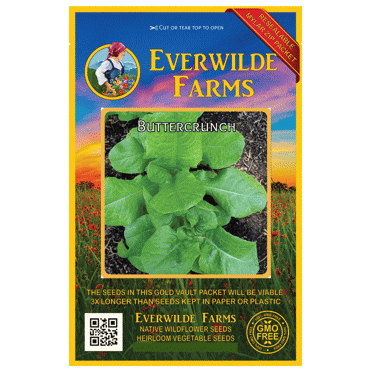 Leaf Lettuce Garden Seeds - Red Sails - 2.5 Gram Packet - Non-GMO ...