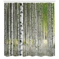 Ambesonne Birch Tree Shower Curtain, Late Summer Foliage, 69"Wx75"L ...