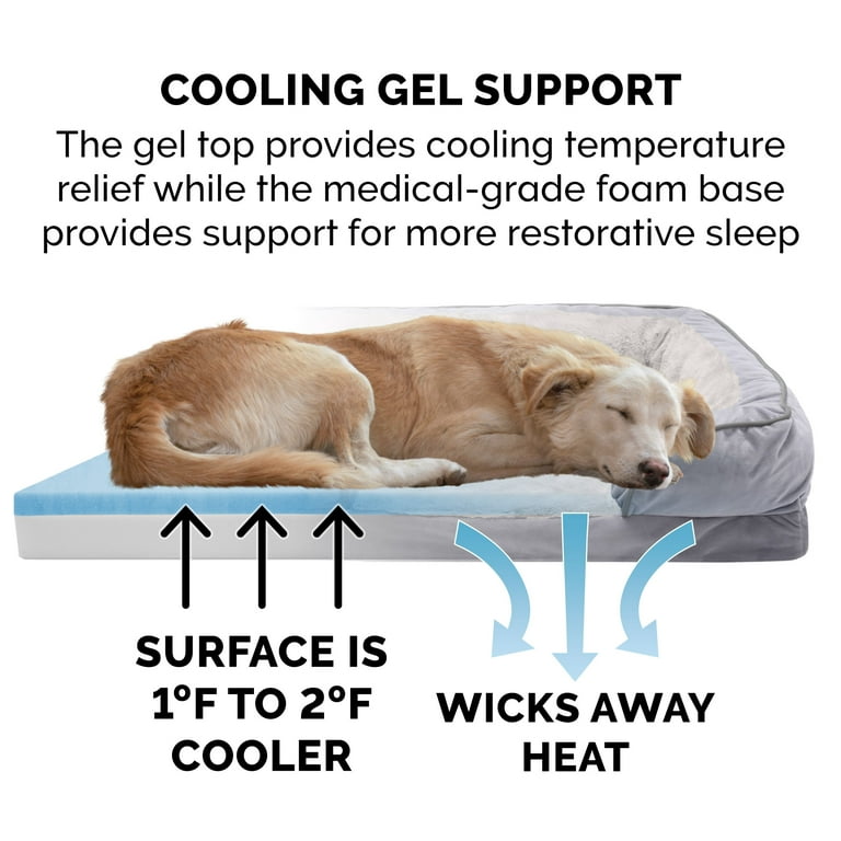 What Is The Perfect Temperature For Dogs