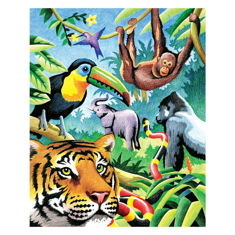 Rainforest Animals Drawings