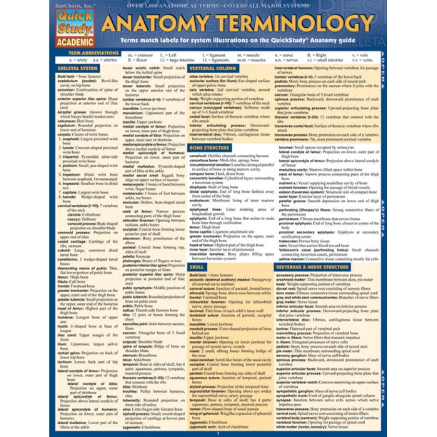 Anatomy Terminology Reference Guide : for use with Anatomy Reference ...