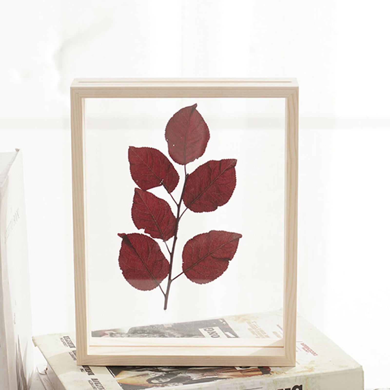 Plant Photo Frame Double Sided Glass Picture Frames Pressed Dried ...