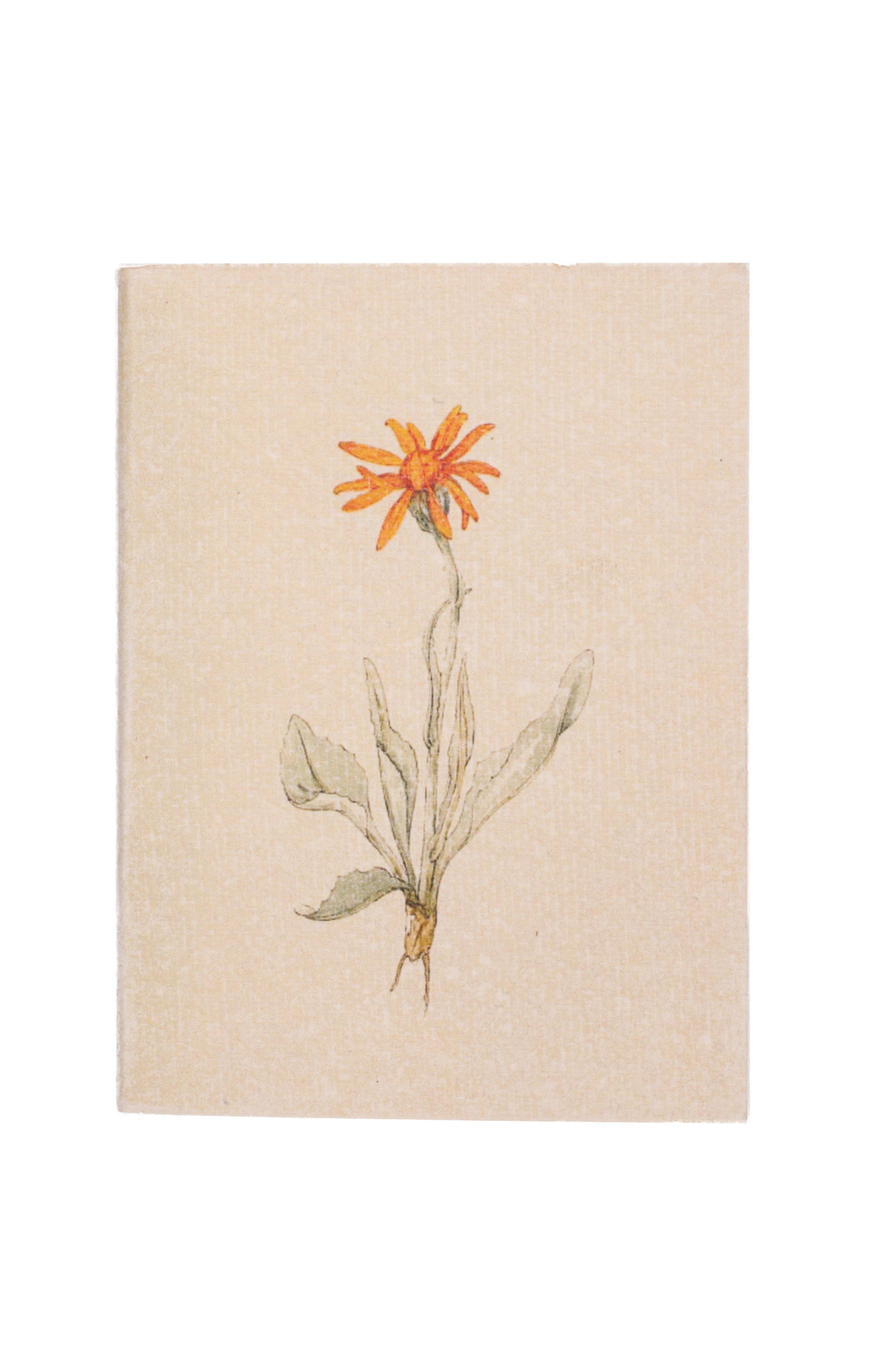 De Kulture Works Flower Artwork Pocket Diary 100 Pages, 125 GSM, Set of ...