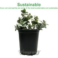 Viagrow Horticultural Perlite, Medium for Indoor/Outdoor Plants, Soil ...