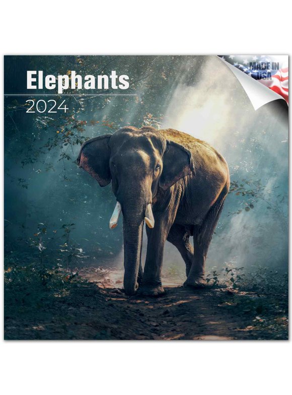 2024 Calendars in Calendars by Year - Walmart.com