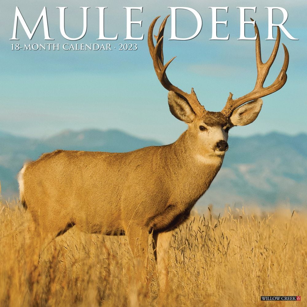 Mule Deer 2023 Wall Calendar - Walmart.com