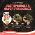 Snout and Shell Bee Pollen Powder for Isopods, 2.5 oz, USA-sourced ...