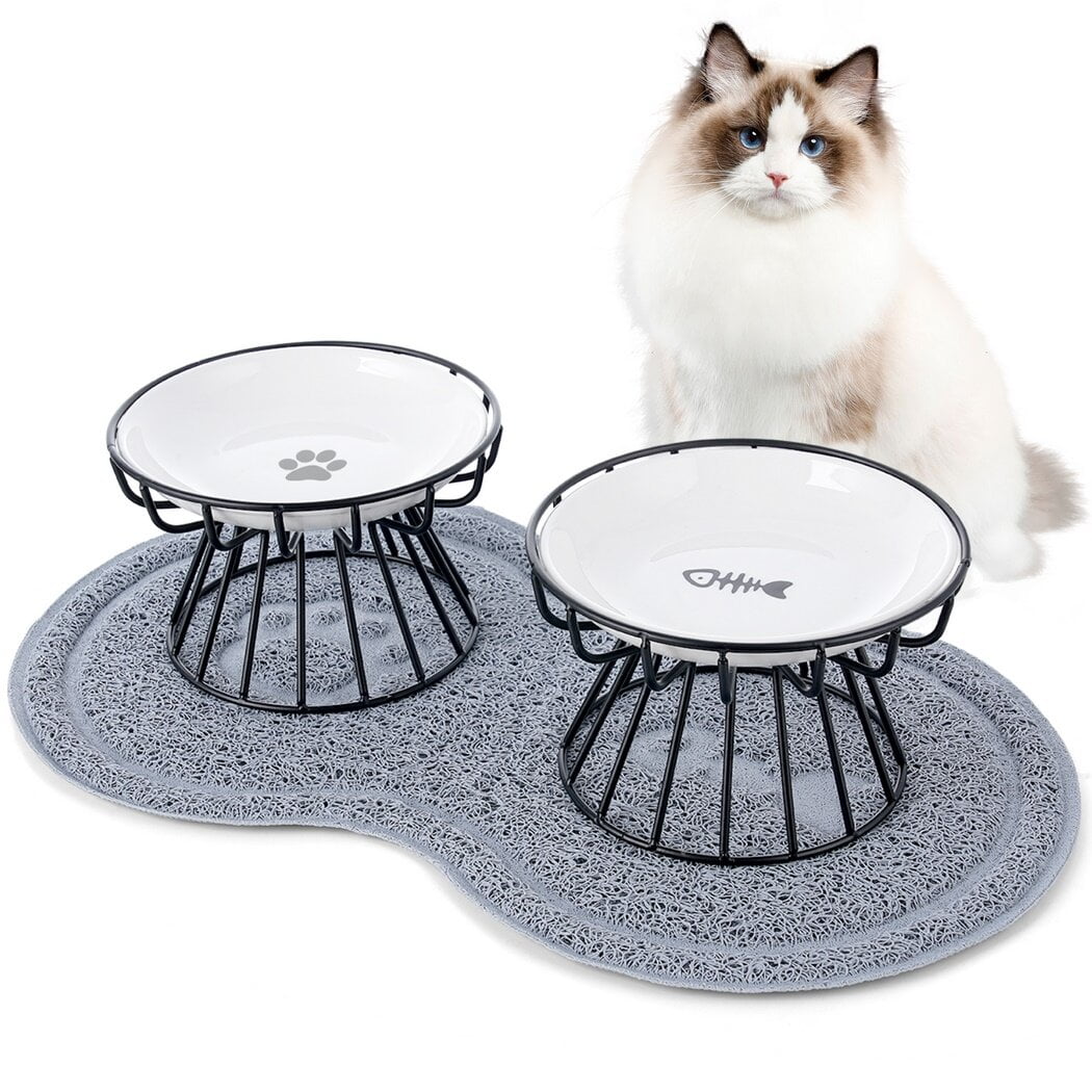 2 Packs Elevated Cat Bowls with Non-Slip Mat, Anti-Vomiting Raised Cat ...