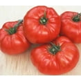 Beefsteak Big Tomatoes - Heirloom Garden Vegetable, 200 Seeds - Walmart.com