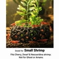 Aquarium Fish and Shrimp Shelter - Safe Non-Toxic Decor for Aquatic ...