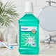 Equate Antiseptic Mouthrinse, Spring Mint, 50.7 fl oz - Walmart.com
