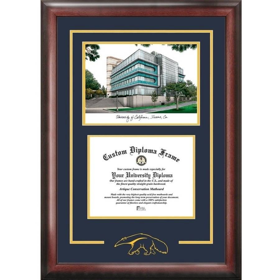 University of California, Irvine 8.5" x 11" Spirit Graduate Diploma ...