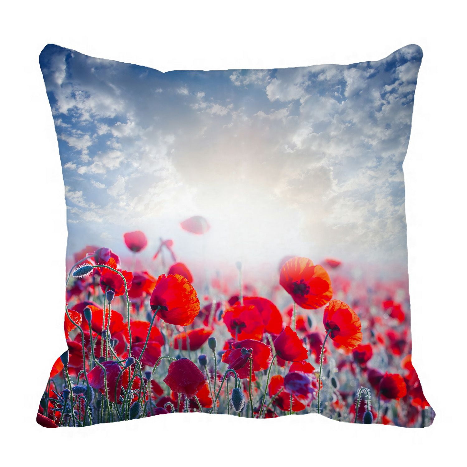 PHFZK Poppy Flower Pillow Case, Red Poppies Field against the Cloudy ...