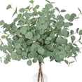 6 Bunches Artificial Eucalyptus Stems for Flower Arranging – Realistic ...
