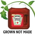 Heinz Large Bottle Tomato Ketchup, 114 oz Gallon Jug - Walmart.com